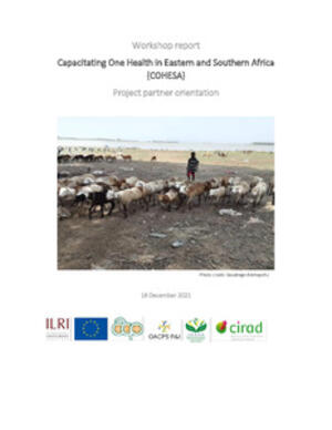 Capacitating One Health in Eastern and Southern Africa (COHESA): Project partner orientation